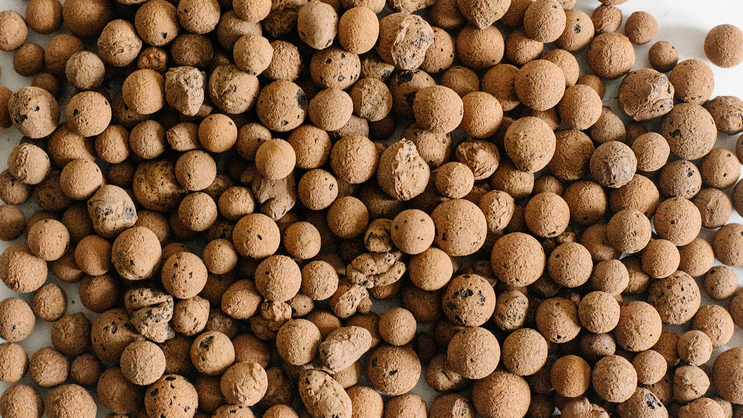 The Soil.Ninja Guide to Clay Pebbles – Soil Ninja Europe